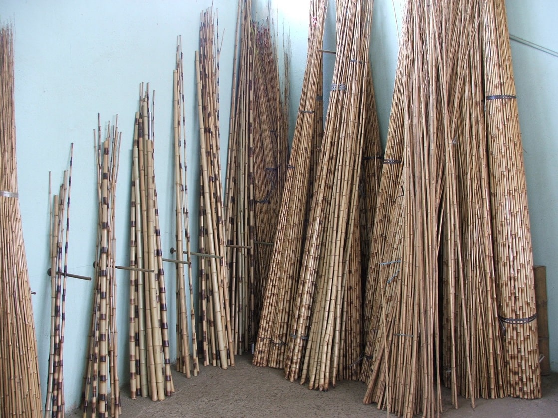 Saiba quais são os principais tipos de vara de pesca - Pescaria S/A