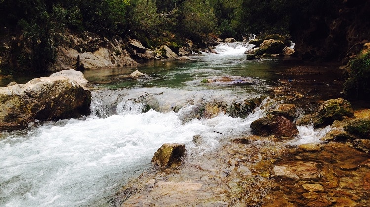Pescaria de rio: saiba onde pescar os principais peixes - Pescaria S/A