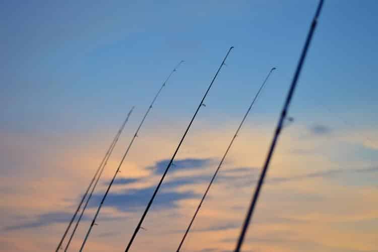 Vara de pesca perfeita: como escolher corretamente? - Pescaria S/A