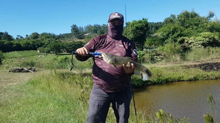 Pesqueiros: tudo sobre estes locais de pesca - Pescaria S/A