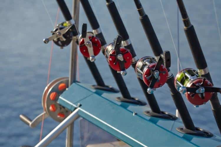 Vara de pescar: tipos, melhores marcas e onde comprar - Pescaria S/A