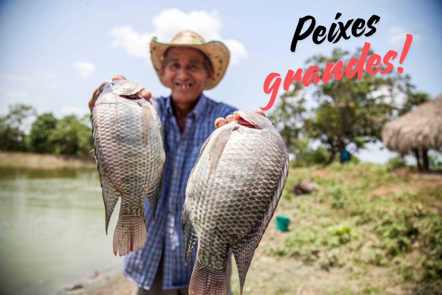 10 Dicas para Pescar Peixes Maiores - Pescaria S/A