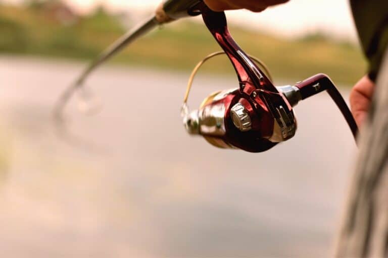 O que significa a ação da vara de pesca? - Pescaria S/A